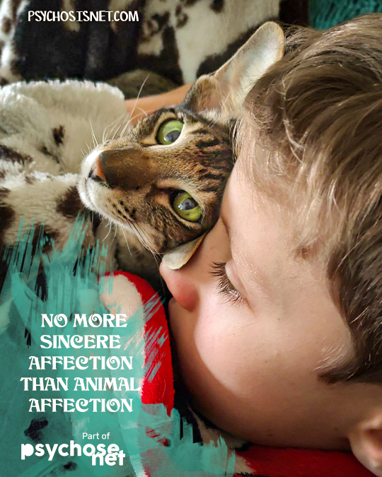 Quote : "No more sincere affection than animal affection ...