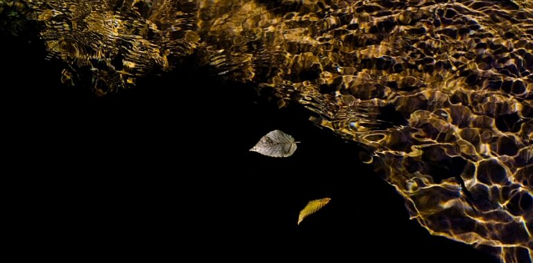 Martin Harrow and the Case Against Medicating Psychosis * PsychosisNet.com